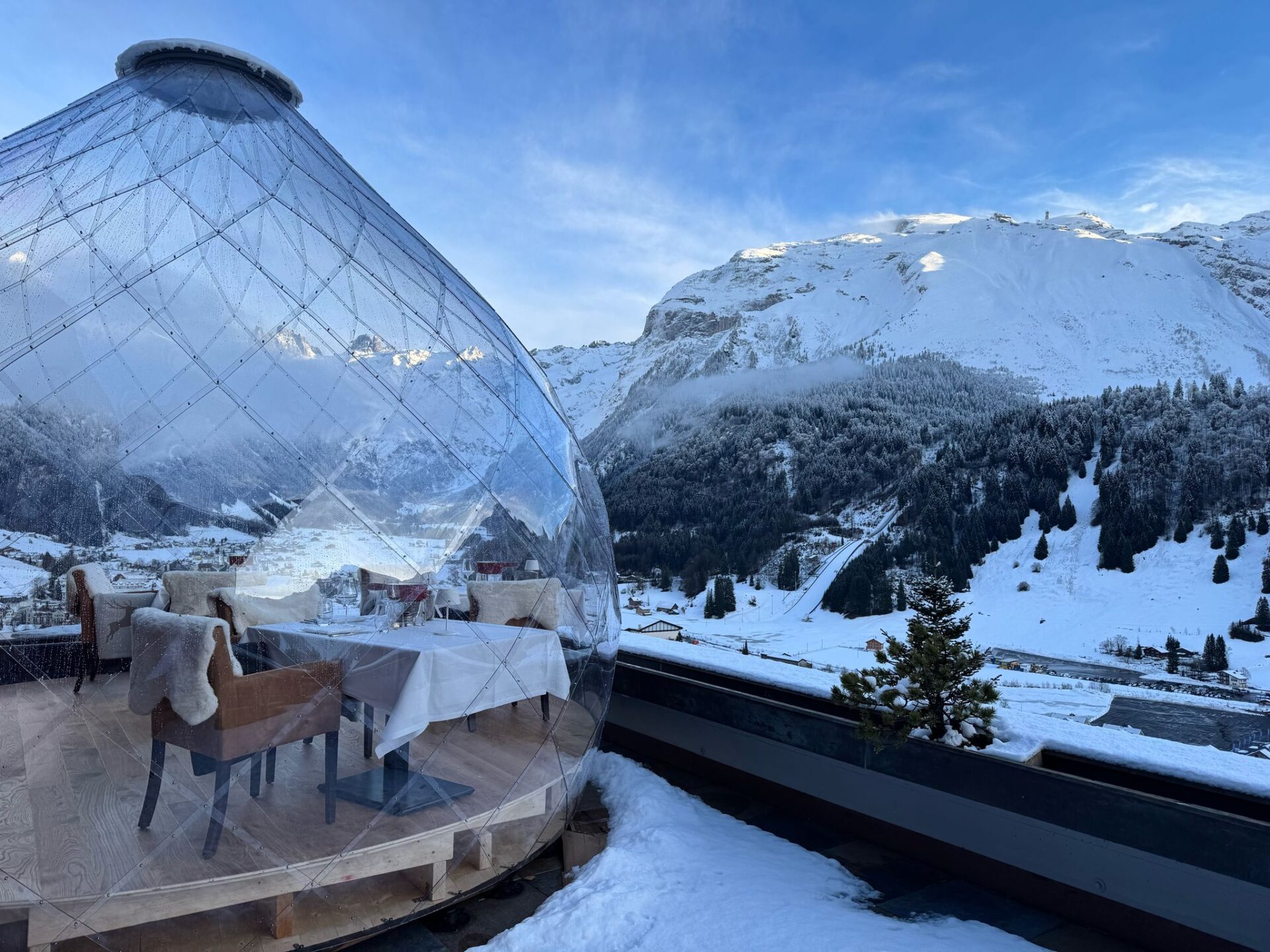 スイス「Hotel Waldegg Engelberg」Aura Zome 直径5M | 日本で唯一のドーム専門企業 ...